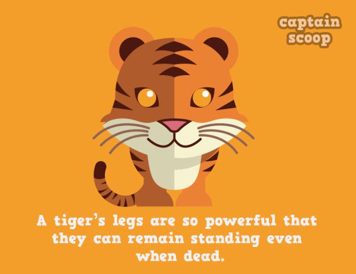 Amazing Facts About Animals Animals Amazing Facts About Animals Animals