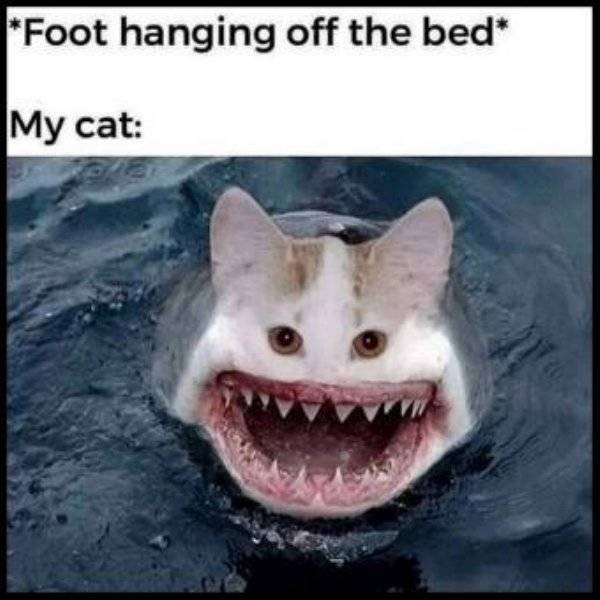 Random Funny Memes Part 42 Fun Random Funny Memes Part 42 Fun