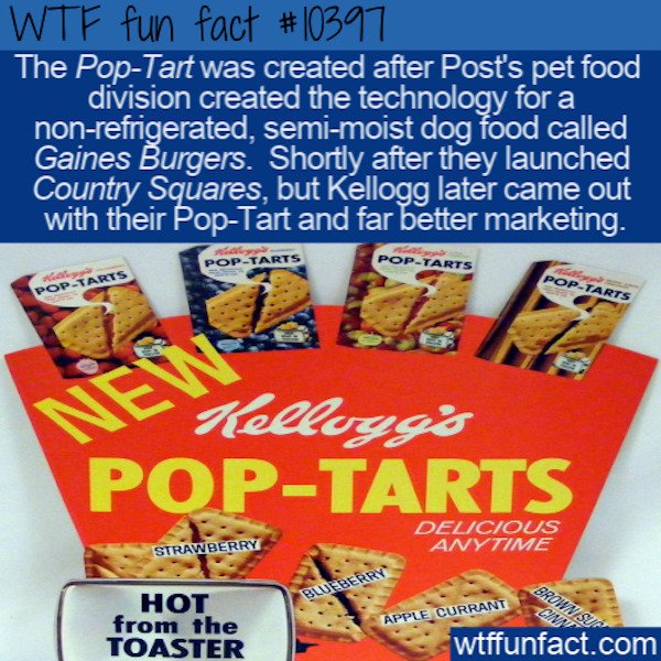 Interesting Facts Part 100 Others