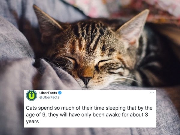 Interesting Facts Part 101 Others