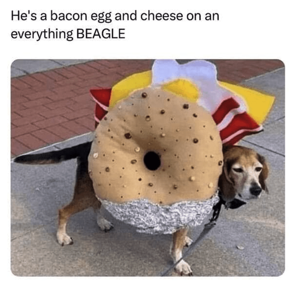 Memes For Dog Lovers, part 3 | Fun